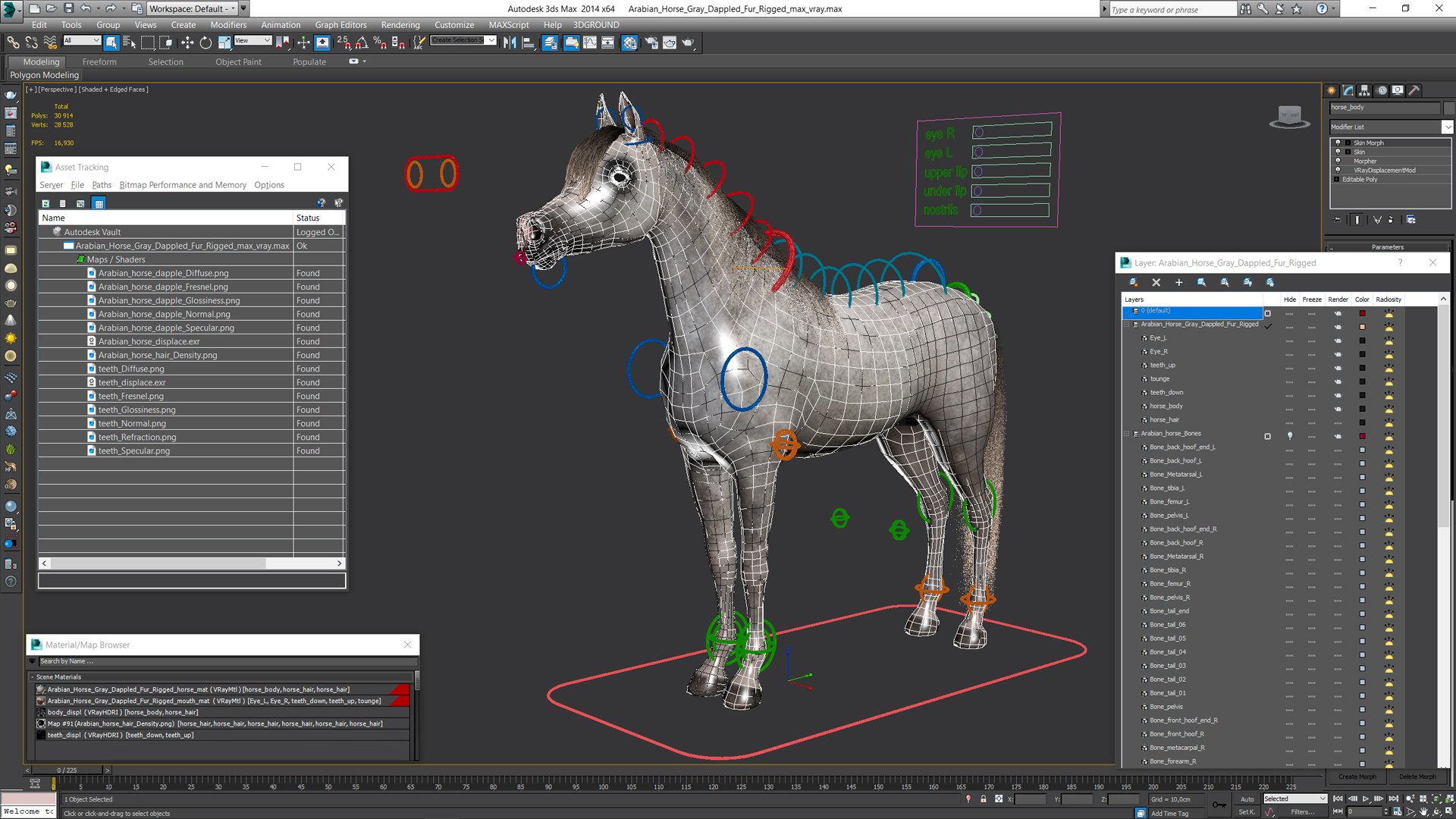 3D Arabian Horse Gray Dappled Fur Rigged - TurboSquid 2184017