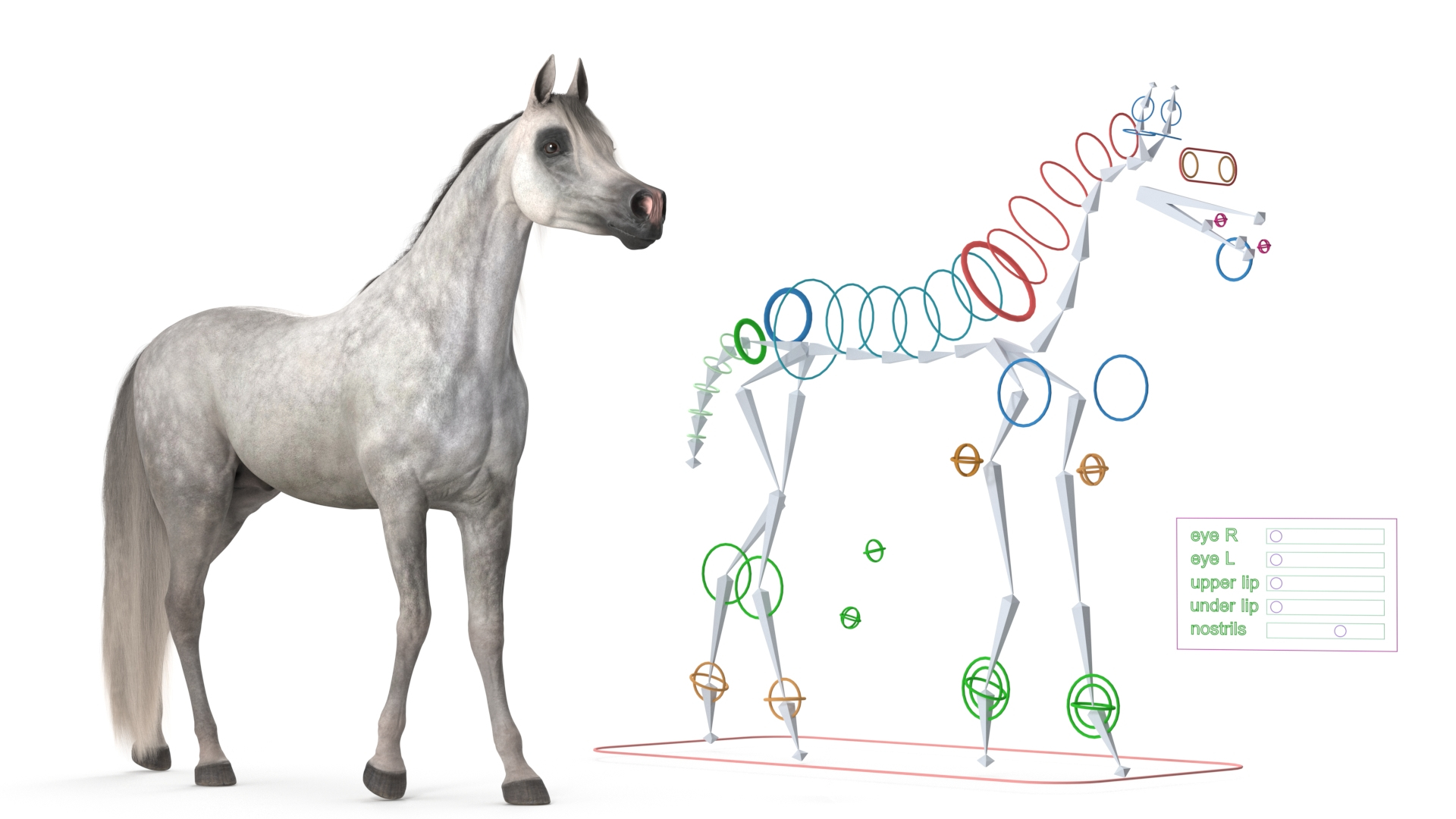 3D Arabian Horse Gray Dappled Fur Rigged - TurboSquid 2184017