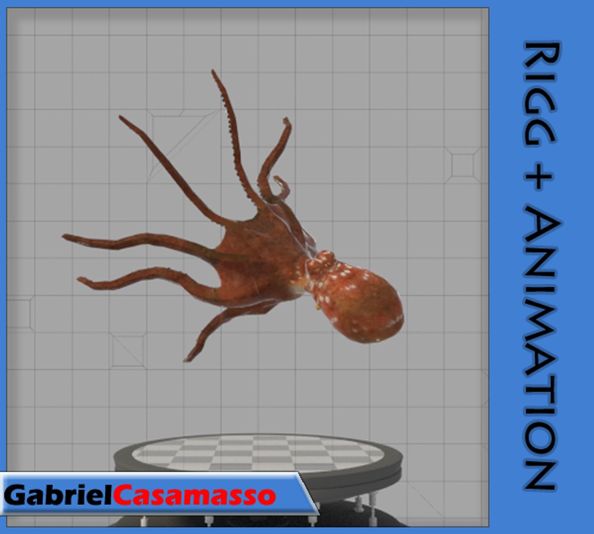 3d Model Octopus Vulgaris Animation