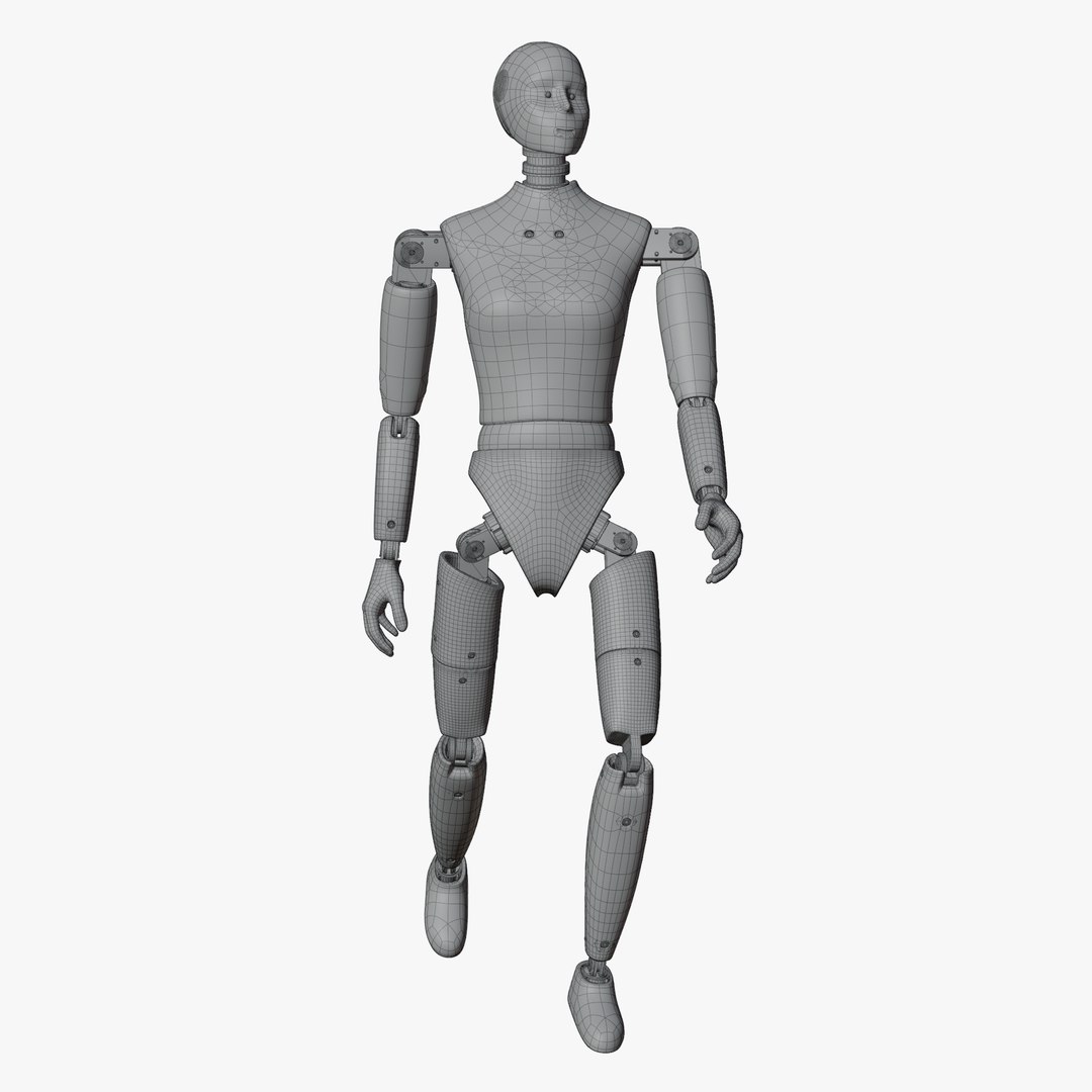 3D Rigged Crash Test Female Dummy - TurboSquid 2197322