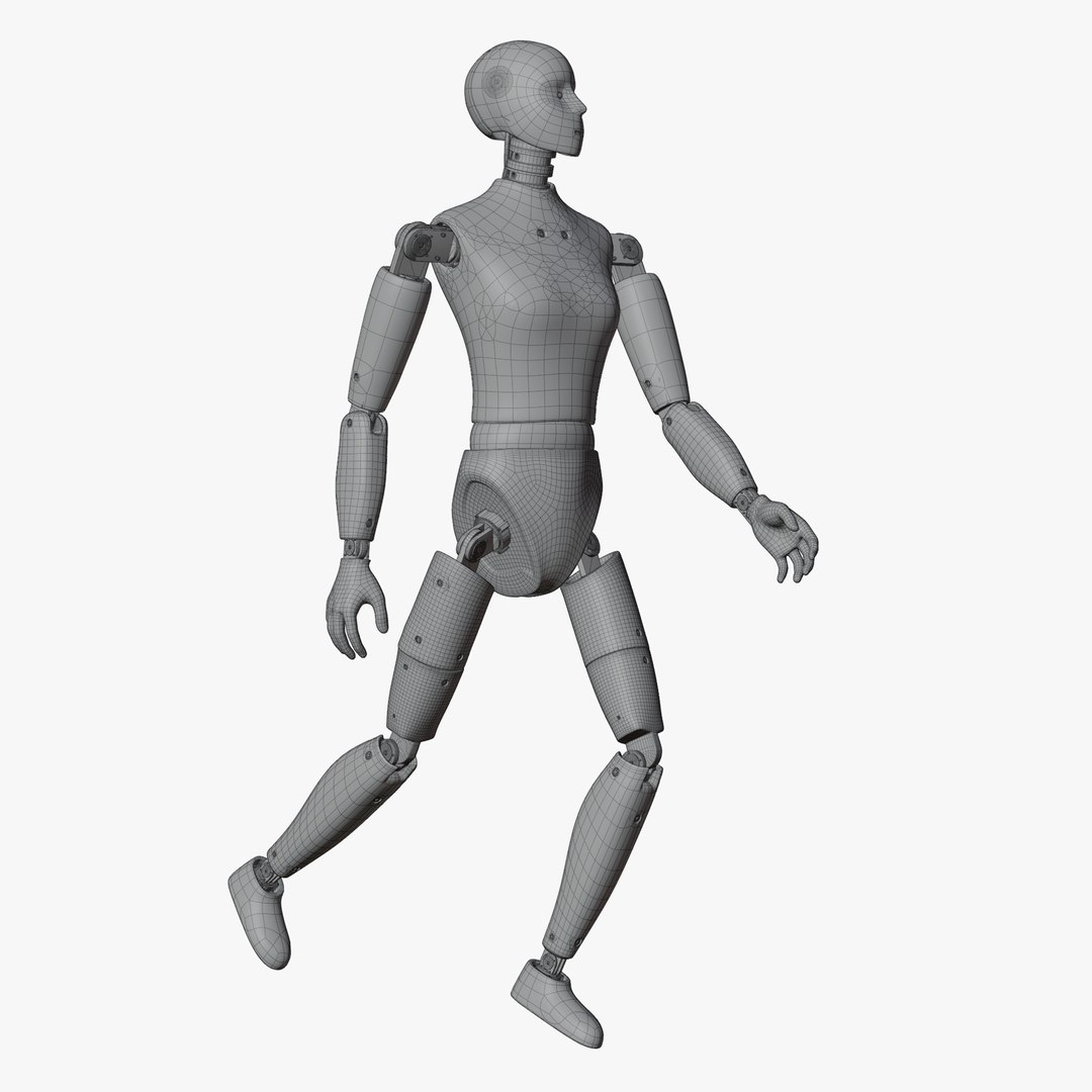 3D Rigged Crash Test Female Dummy - TurboSquid 2197322