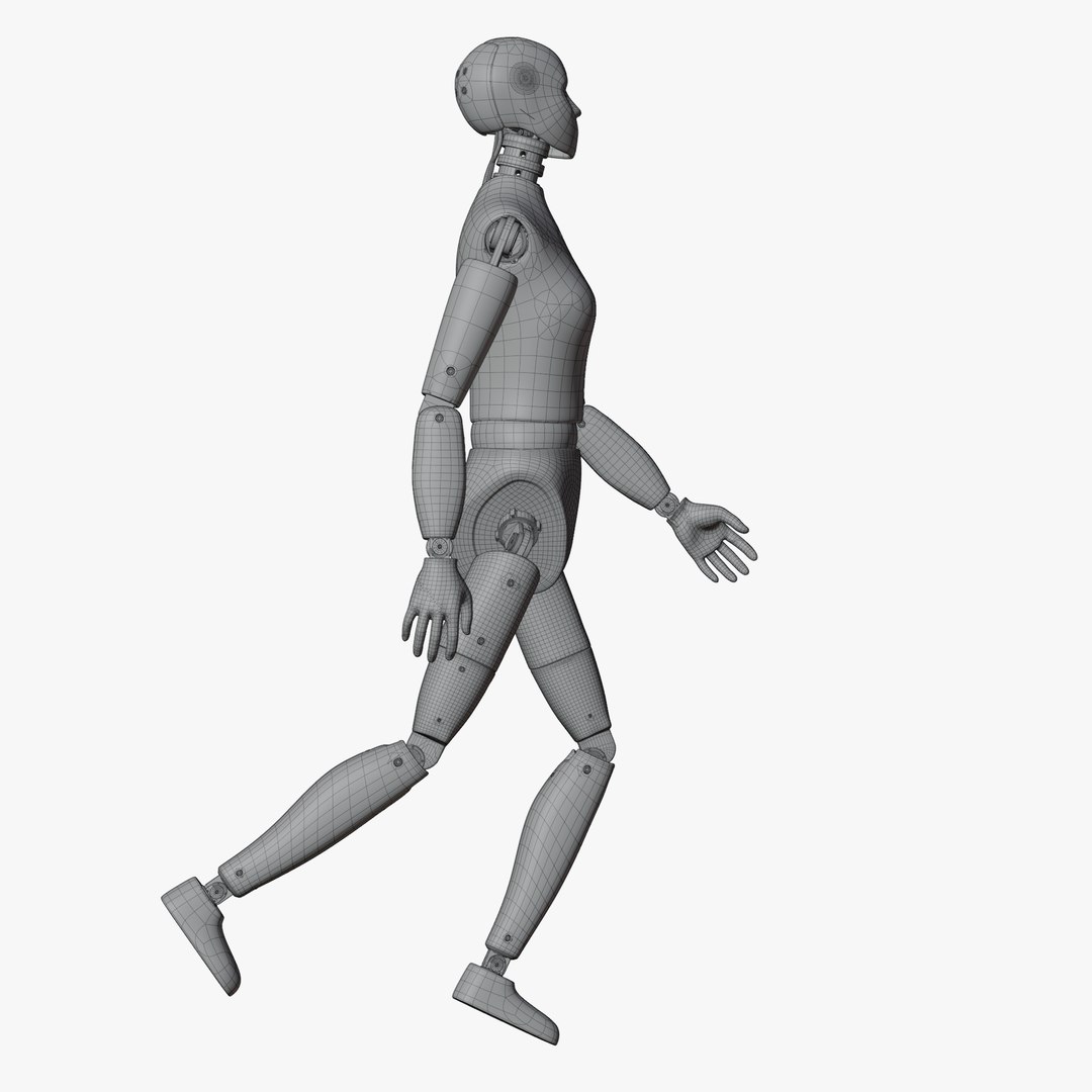 3D Rigged Crash Test Female Dummy - TurboSquid 2197322