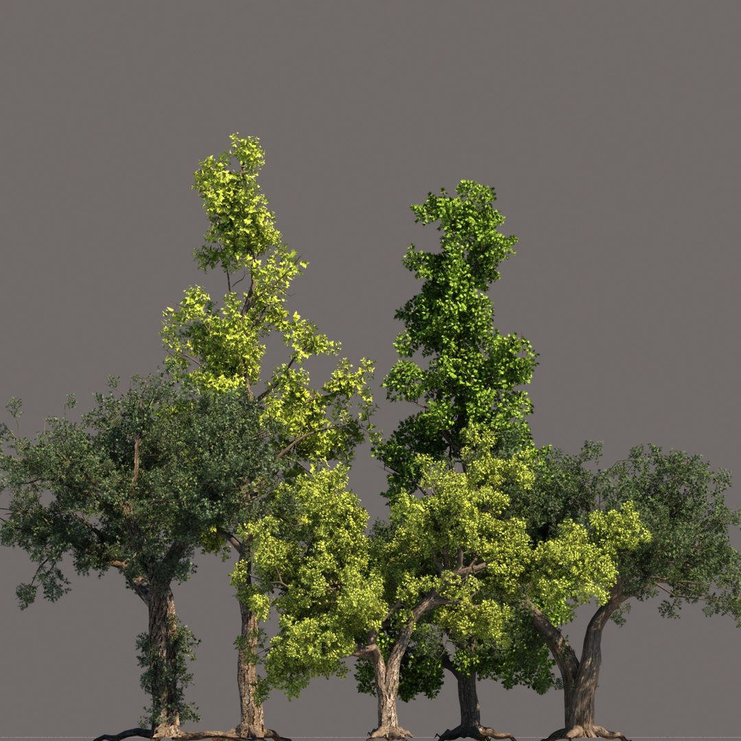 Tree Nature Model - TurboSquid 1379605