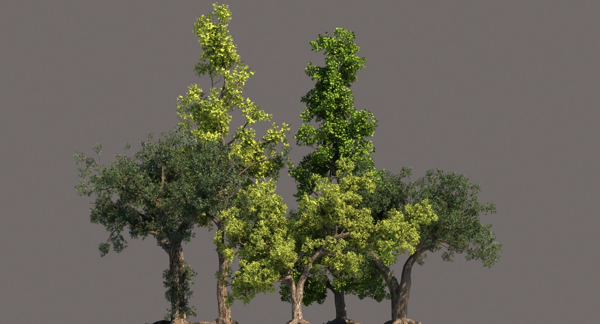 Tree Nature Model - TurboSquid 1379605