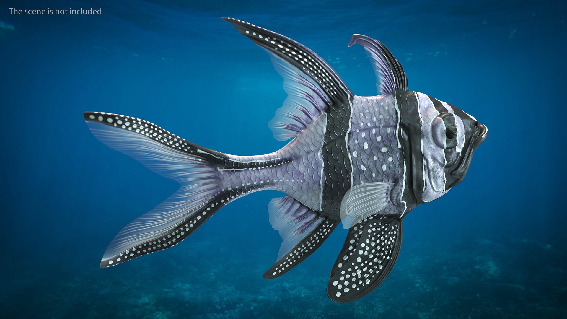 Longfin Cardinalfish Swimming Pose 3D Model - TurboSquid 1699038