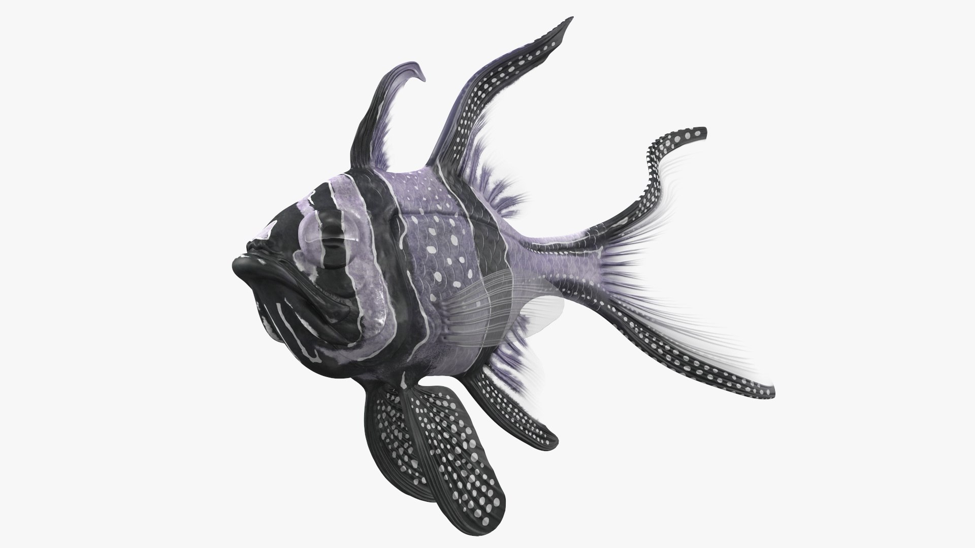 Longfin Cardinalfish Swimming Pose 3D Model - TurboSquid 1699038