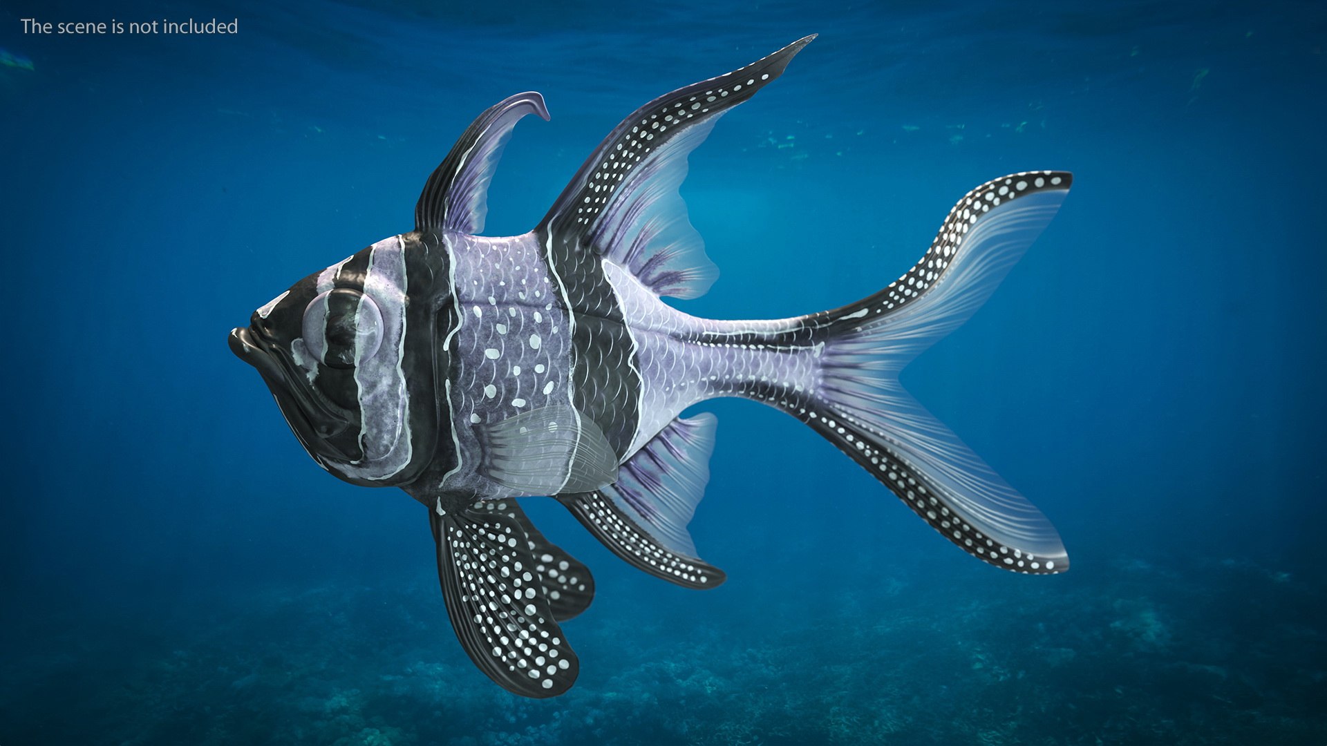 Longfin Cardinalfish Swimming Pose 3D Model - TurboSquid 1699038