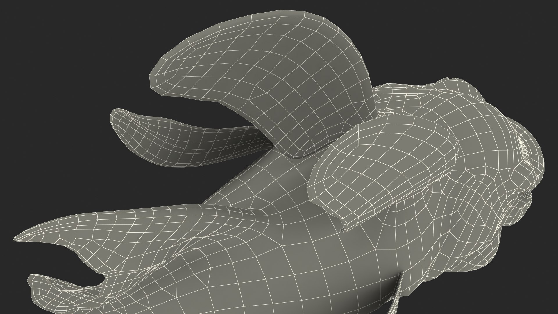 Longfin Cardinalfish Swimming Pose 3D Model - TurboSquid 1699038