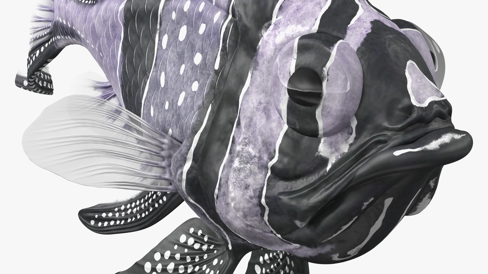 Longfin Cardinalfish Swimming Pose 3D Model - TurboSquid 1699038