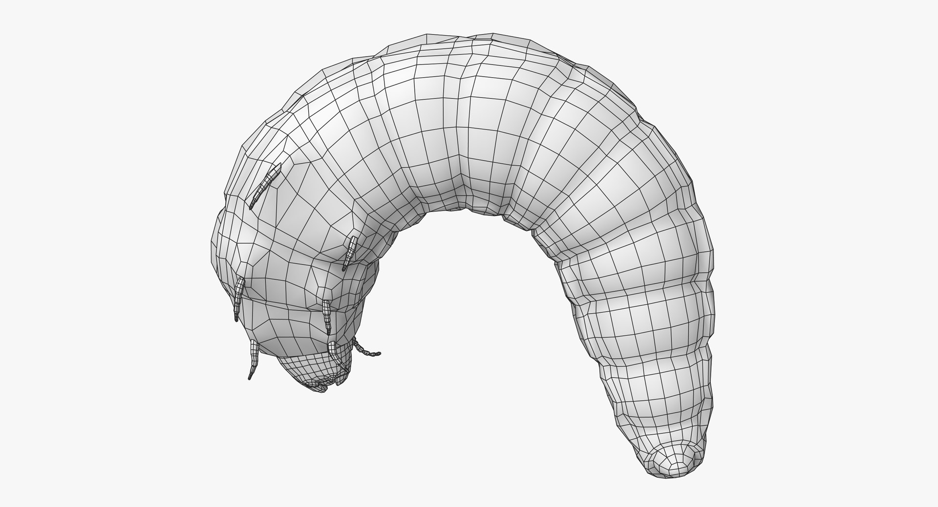 3D Realistic Maggot Pose - TurboSquid 1424571