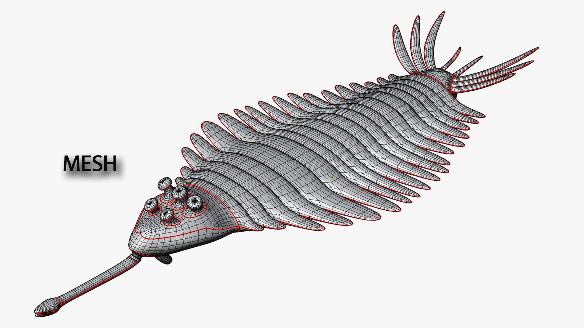 Opabinia Model - TurboSquid 2330051