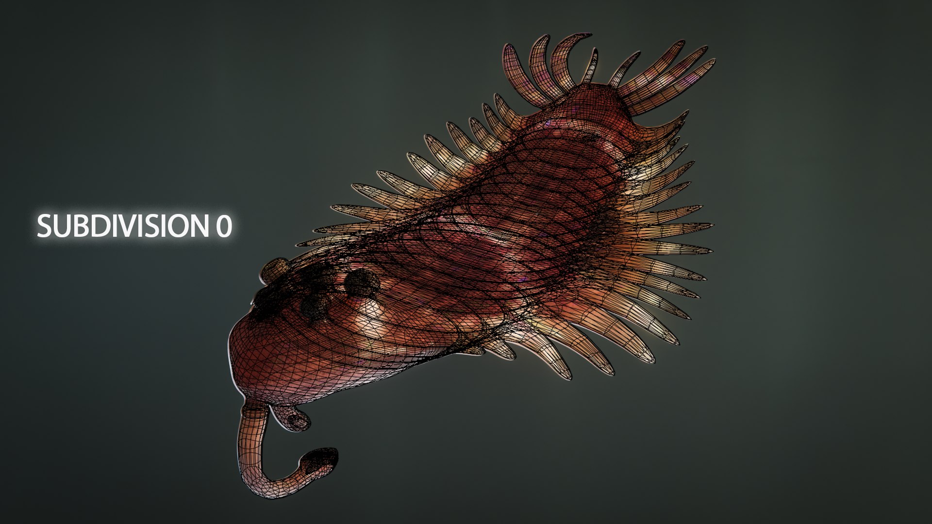 Opabinia Model - TurboSquid 2330051