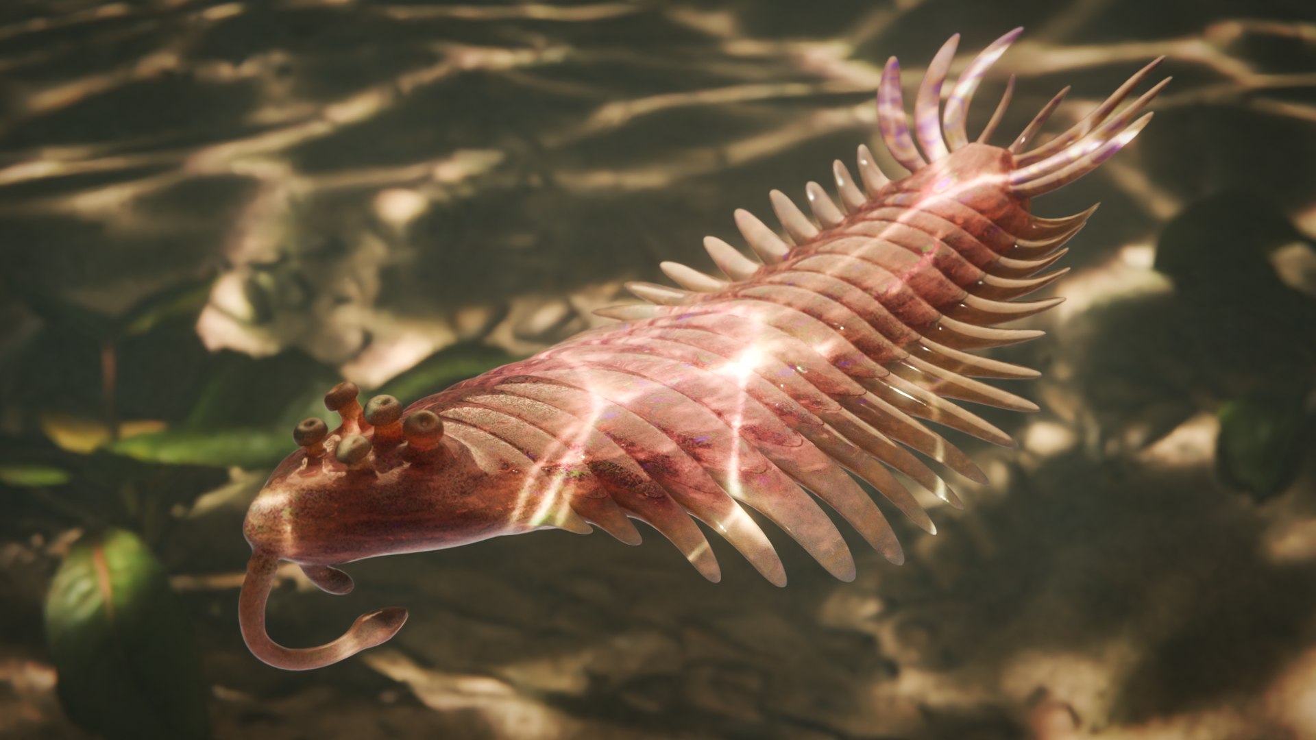 Opabinia Model - TurboSquid 2330051
