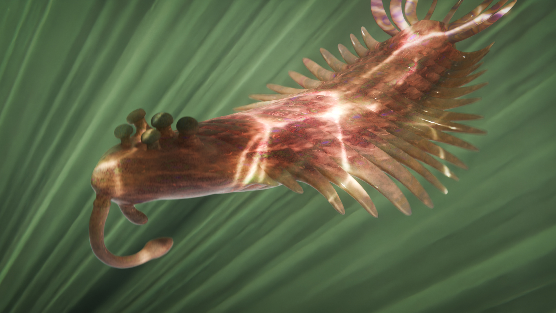 Opabinia Model - TurboSquid 2330051