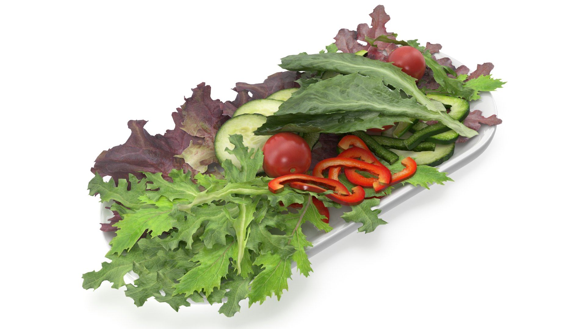 3D Salad Model - TurboSquid 1973416