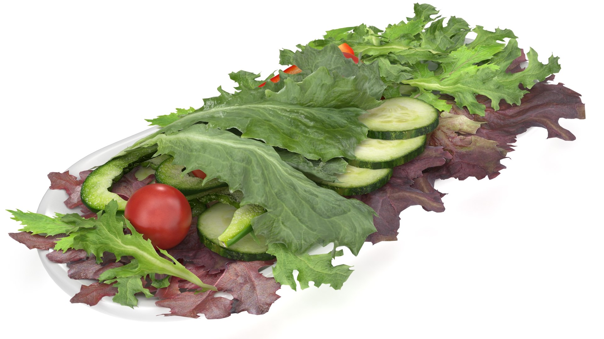 3D Salad Model - TurboSquid 1973416