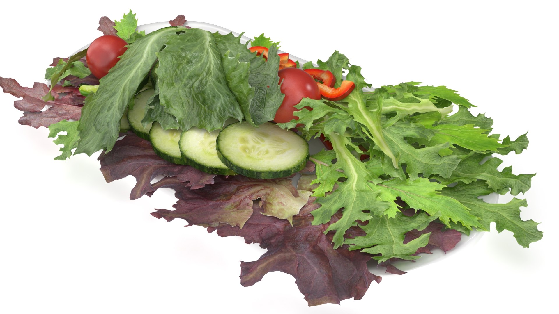 3D Salad Model - TurboSquid 1973416