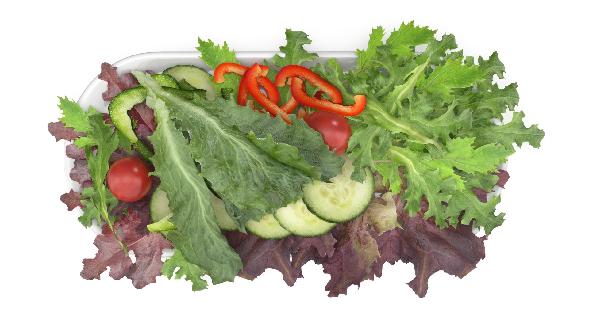 3D Salad Model - TurboSquid 1973416
