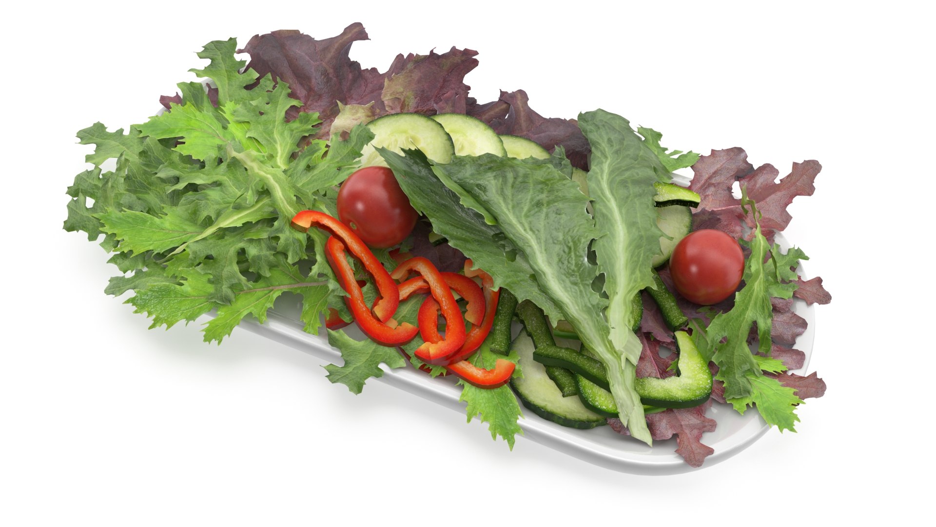 3D Salad Model - TurboSquid 1973416