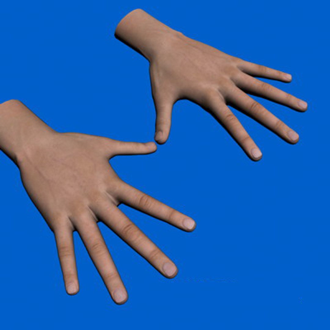 Realistic Hand 3d Model