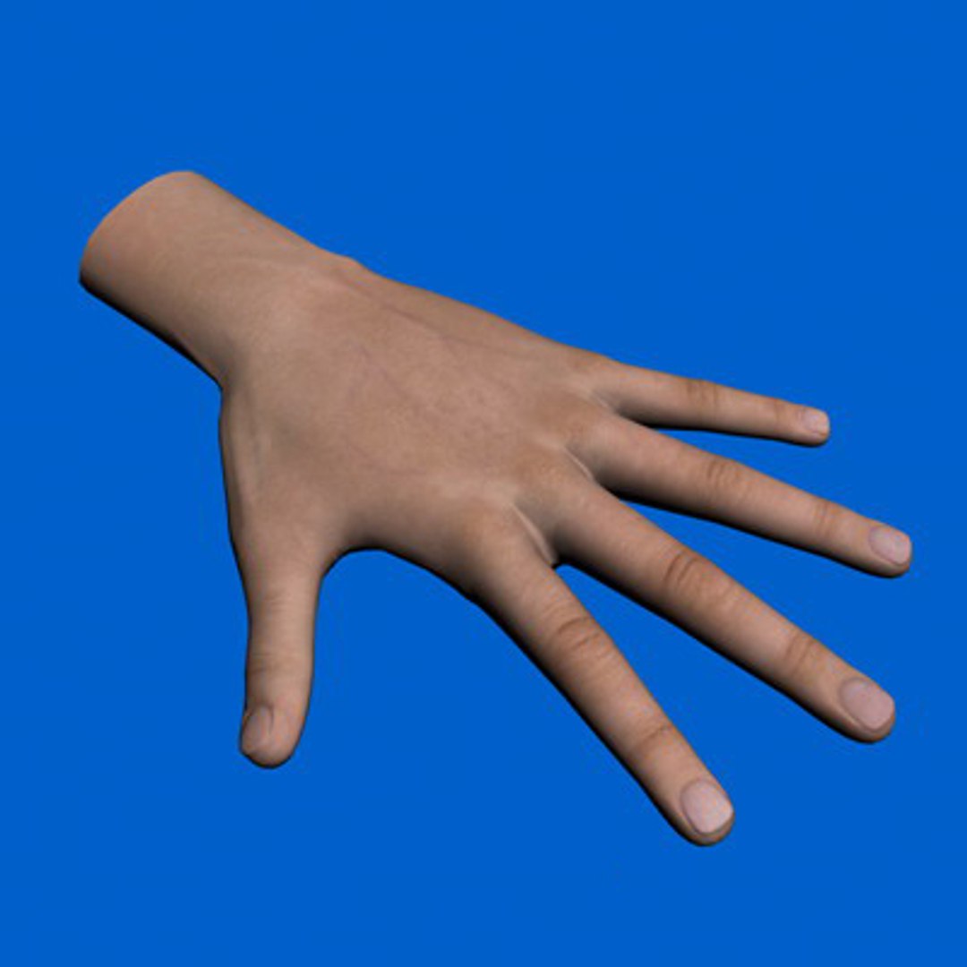 Realistic Hand 3d Model
