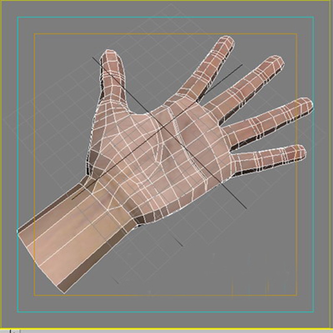 Realistic Hand 3d Model