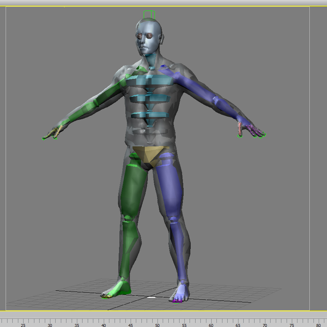 human man 3d model