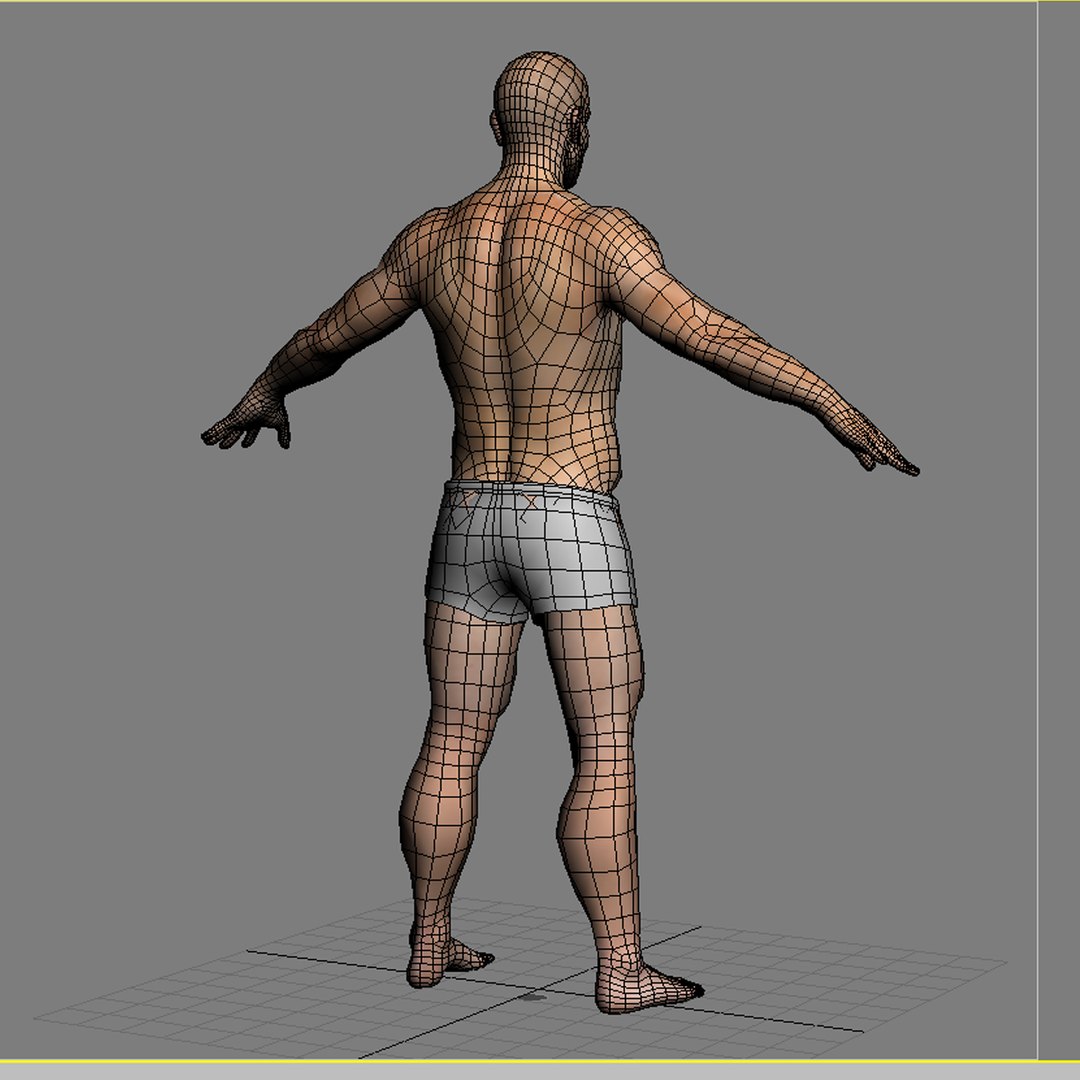 Human Man 3d Model