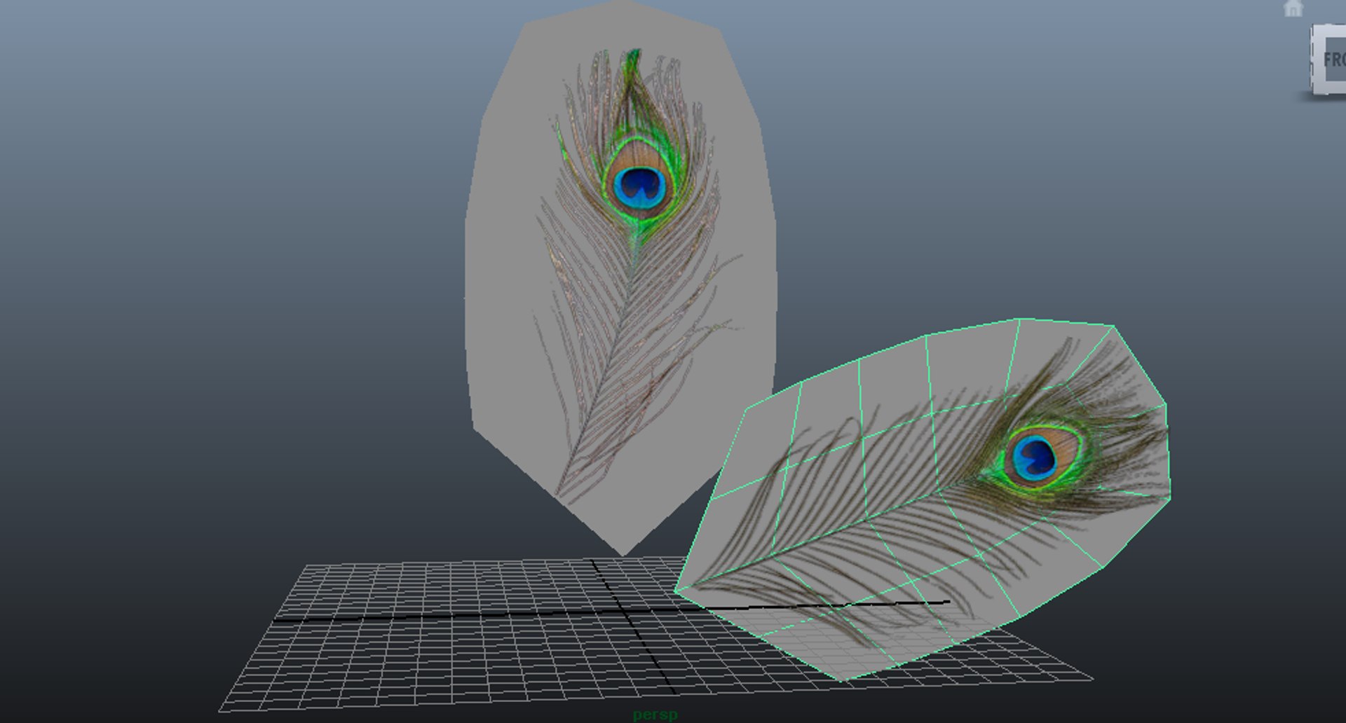 3D Model Feather - TurboSquid 1298668
