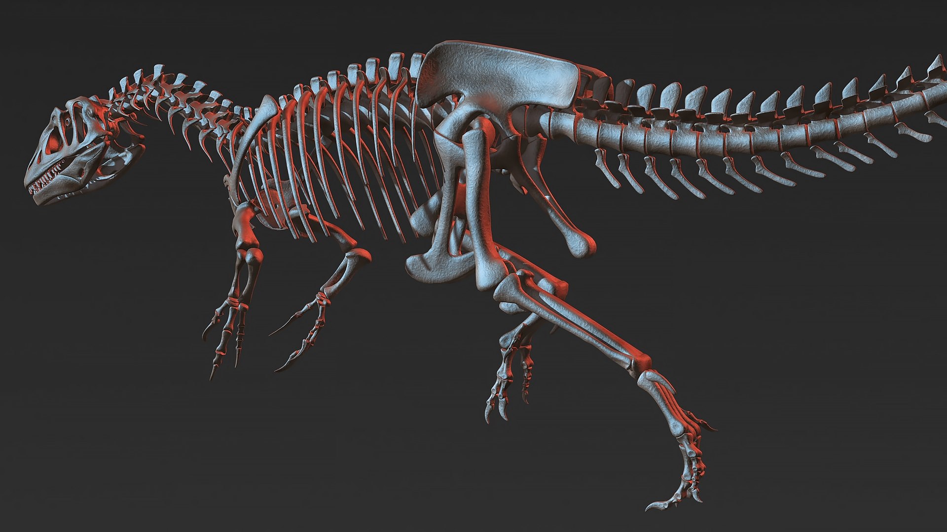 Allosaurus Skeleton Model - TurboSquid 1228773