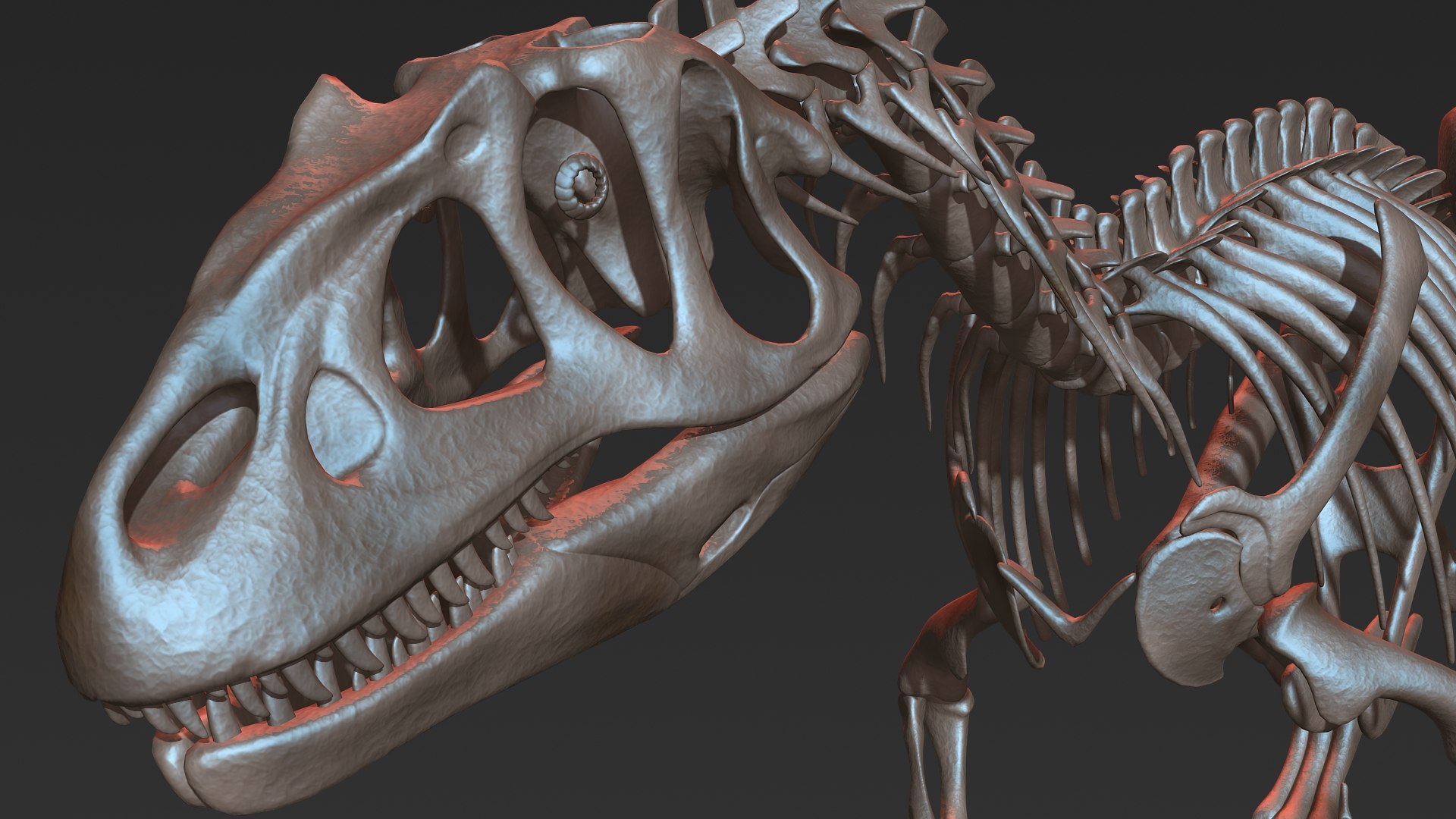 Allosaurus Skeleton Model - TurboSquid 1228773