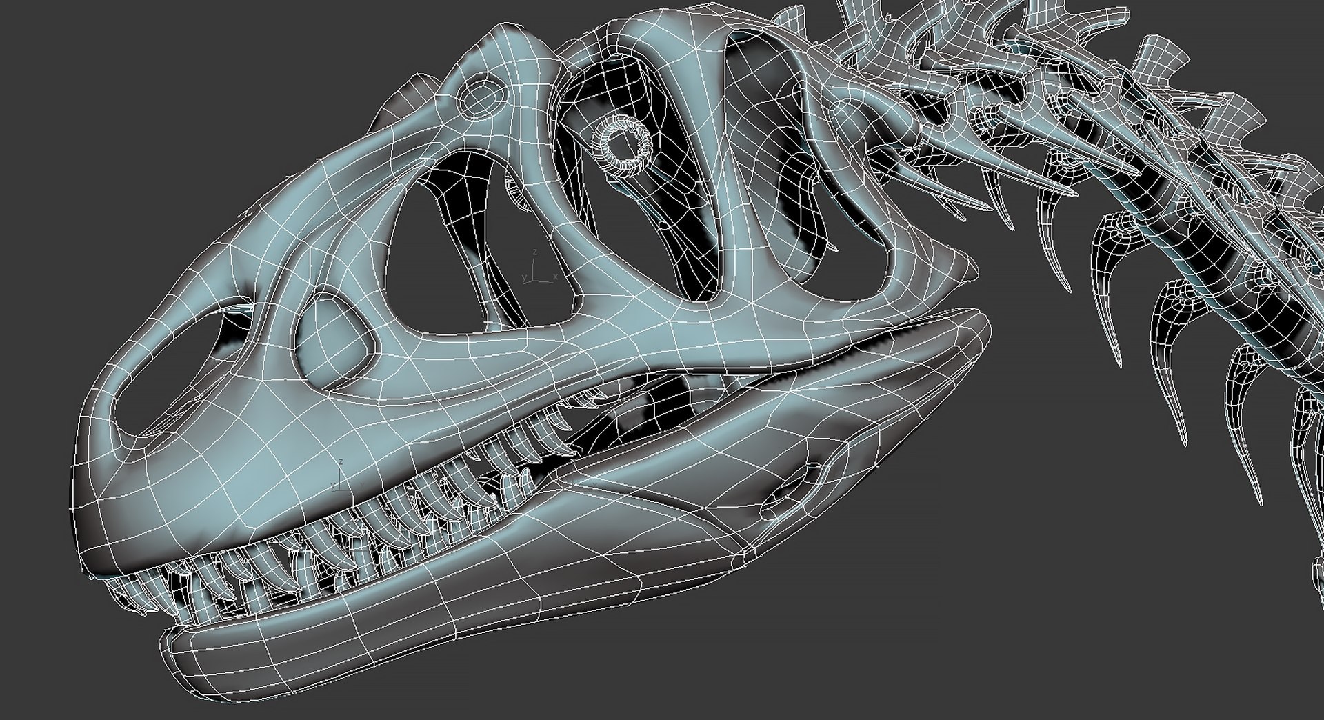 Allosaurus Skeleton Model - TurboSquid 1228773