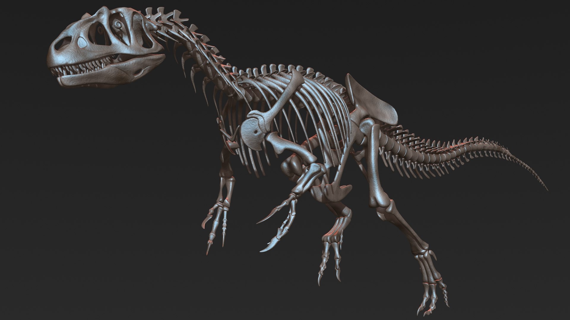 Allosaurus Skeleton Model - TurboSquid 1228773