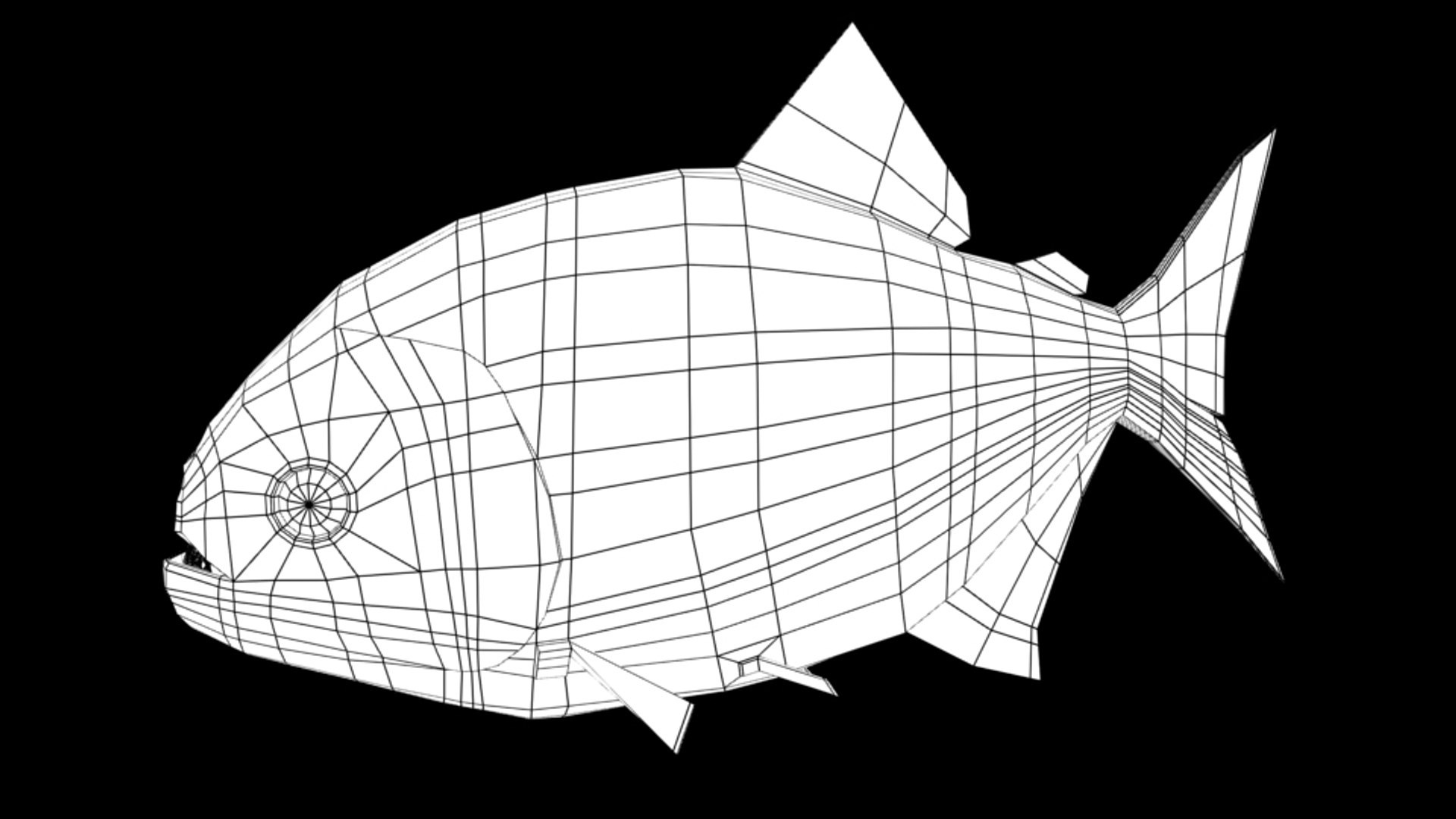 Piranha fish 3D model - TurboSquid 1285848