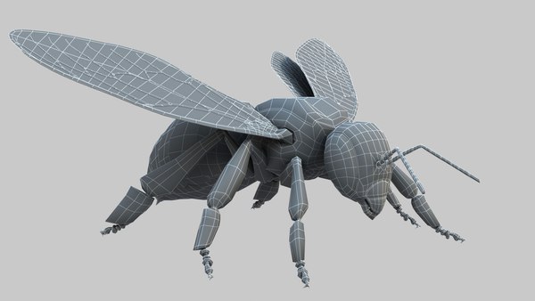 Honey bee 3D - TurboSquid 1552131