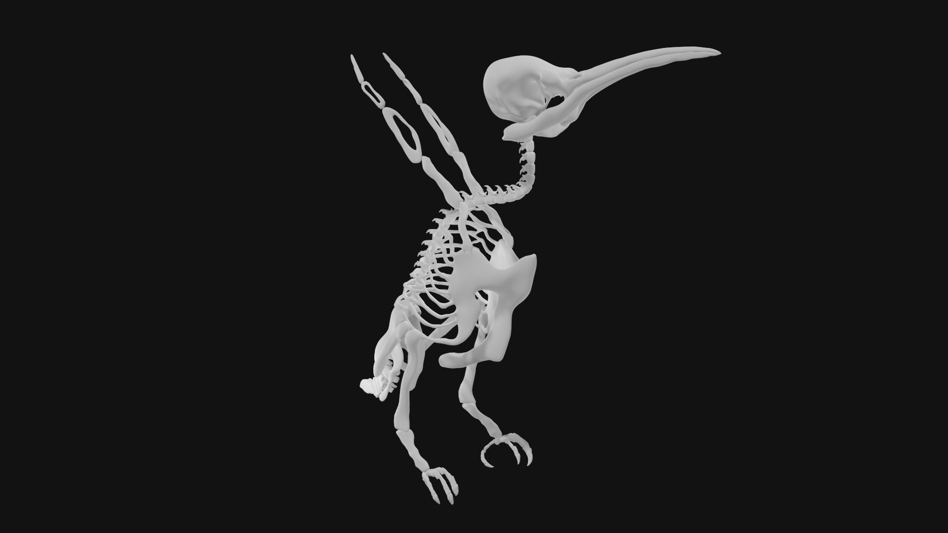 3D Hummingbird Skeleton - TurboSquid 1991840