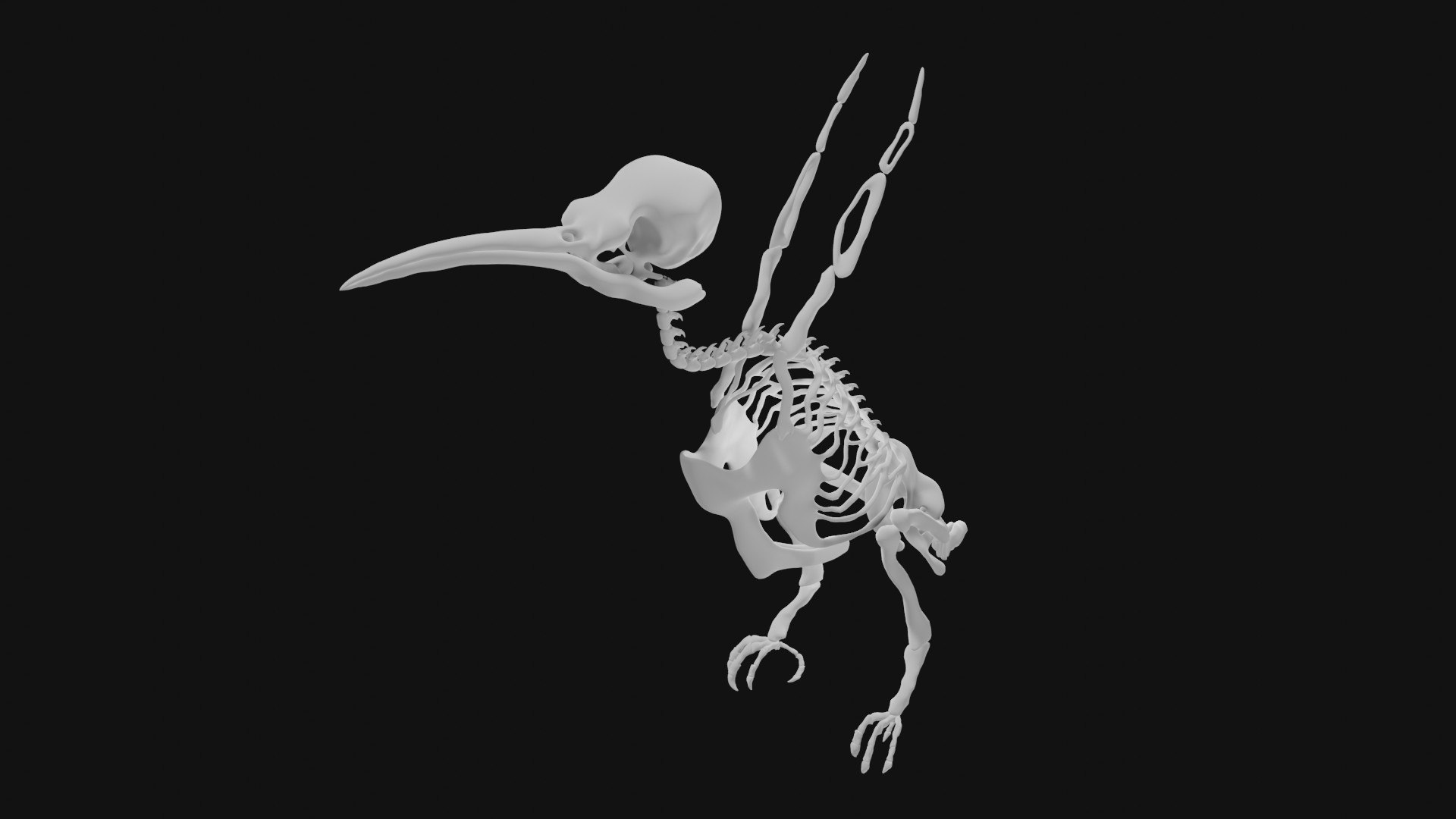 3D Hummingbird Skeleton - TurboSquid 1991840