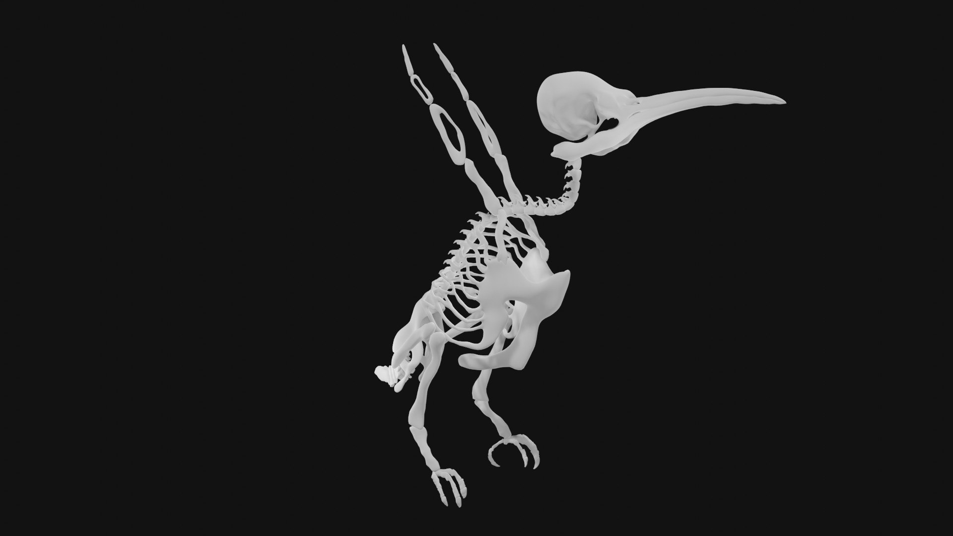 3D Hummingbird Skeleton - TurboSquid 1991840