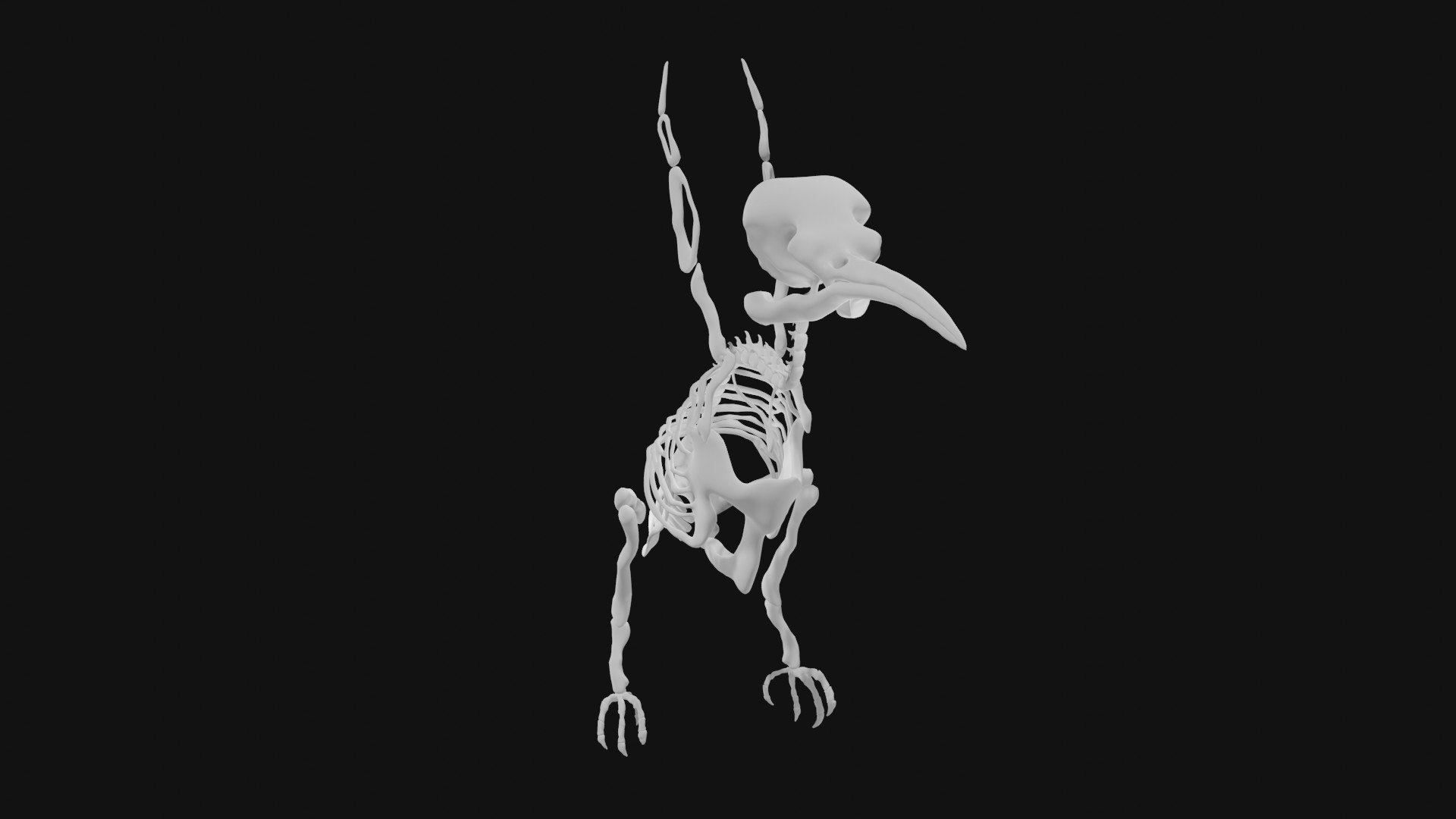 3D Hummingbird Skeleton - TurboSquid 1991840