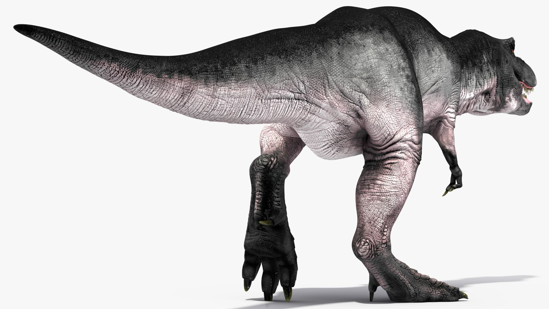 3D T Rex Walking Animated Rigged model - TurboSquid 2102421