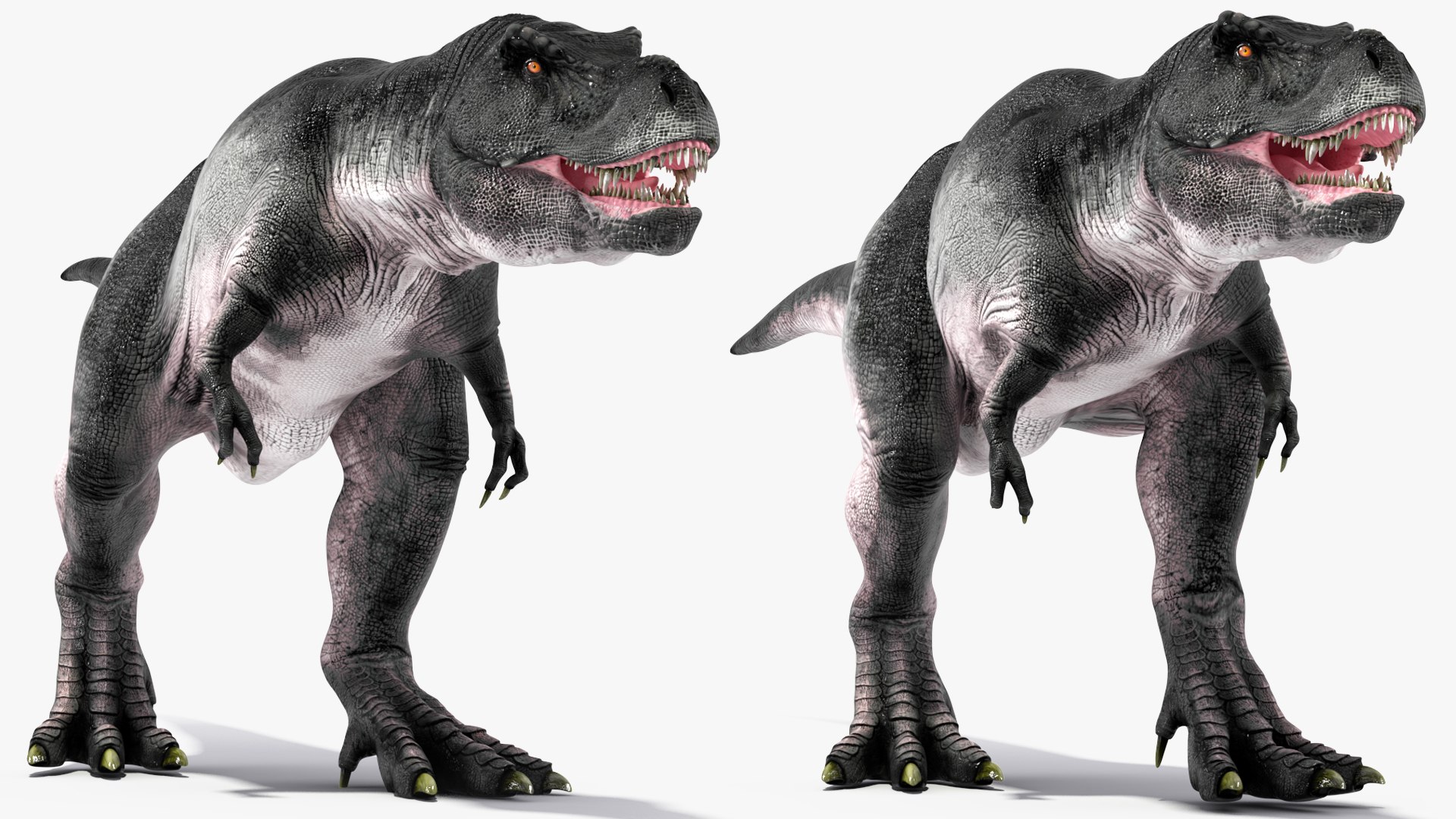 3D T Rex Walking Animated Rigged model - TurboSquid 2102421
