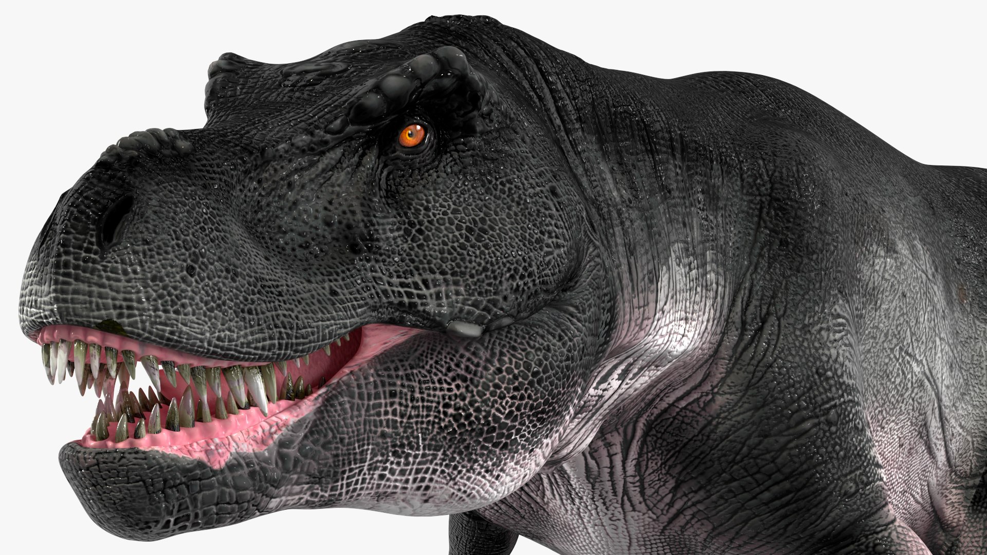 3D T Rex Walking Animated Rigged model - TurboSquid 2102421