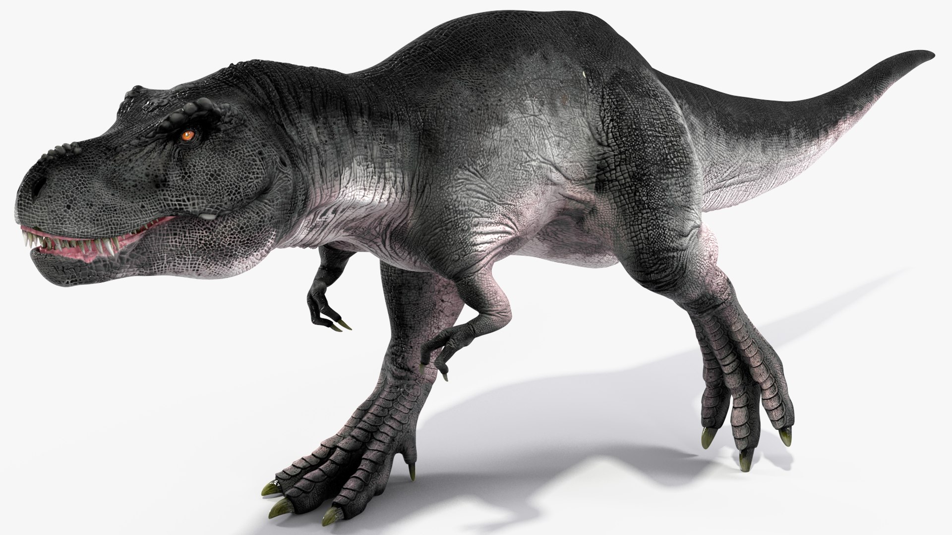 3D T Rex Walking Animated Rigged model - TurboSquid 2102421