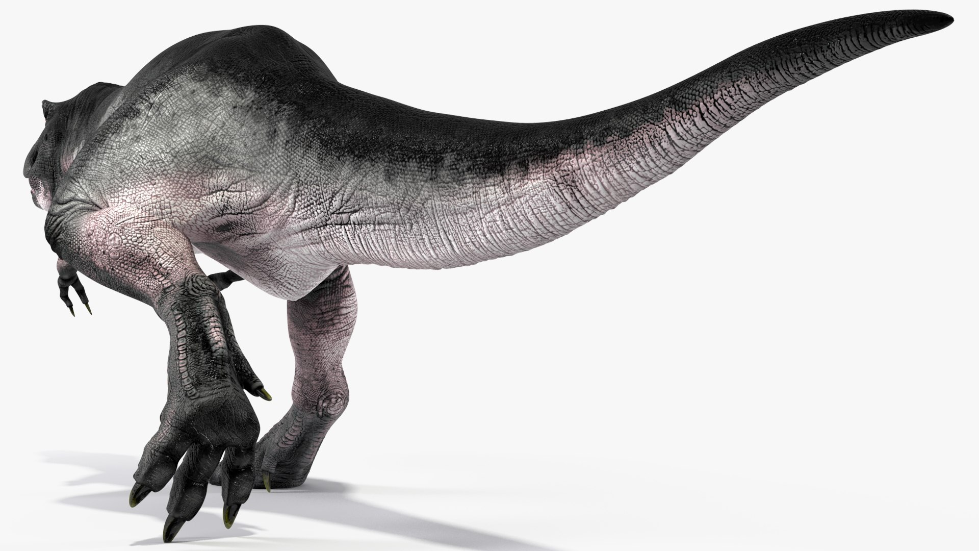 3D T Rex Walking Animated Rigged model - TurboSquid 2102421