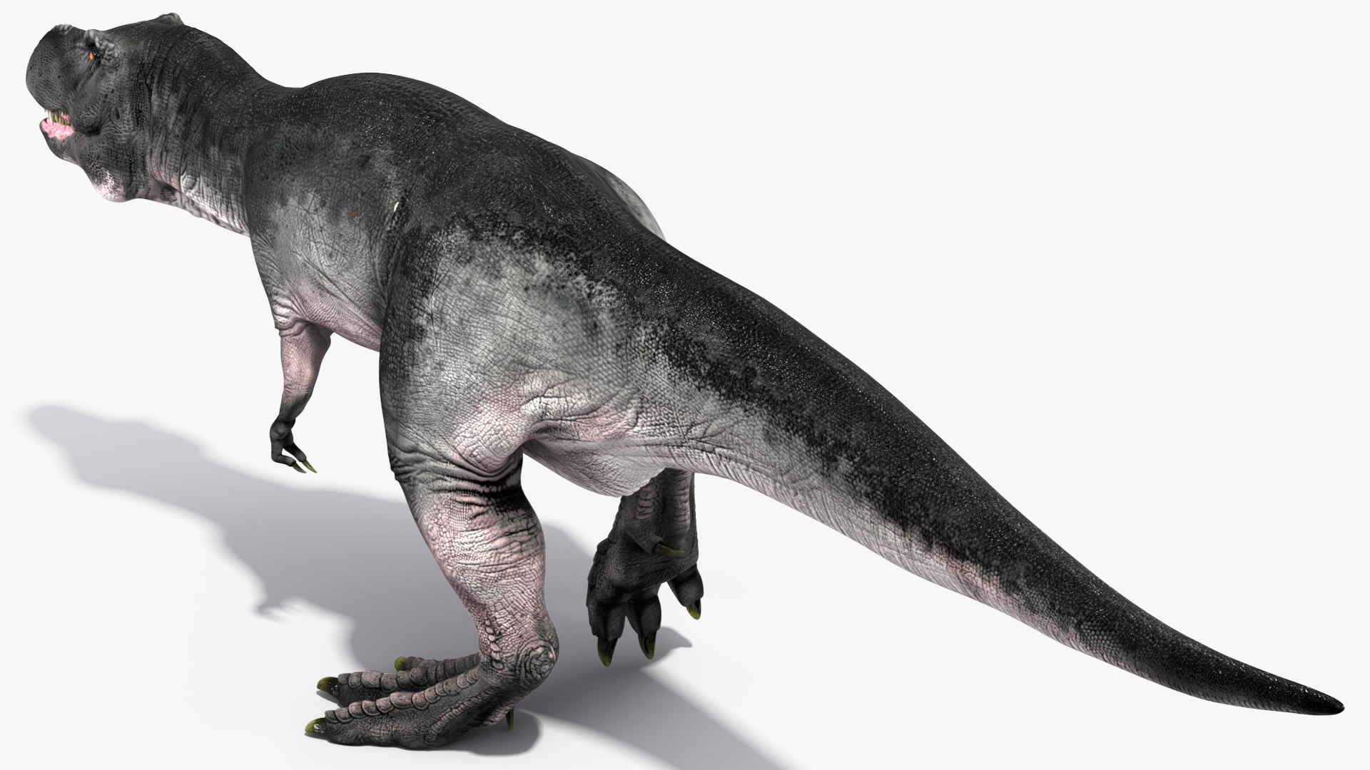 3D T Rex Walking Animated Rigged model - TurboSquid 2102421