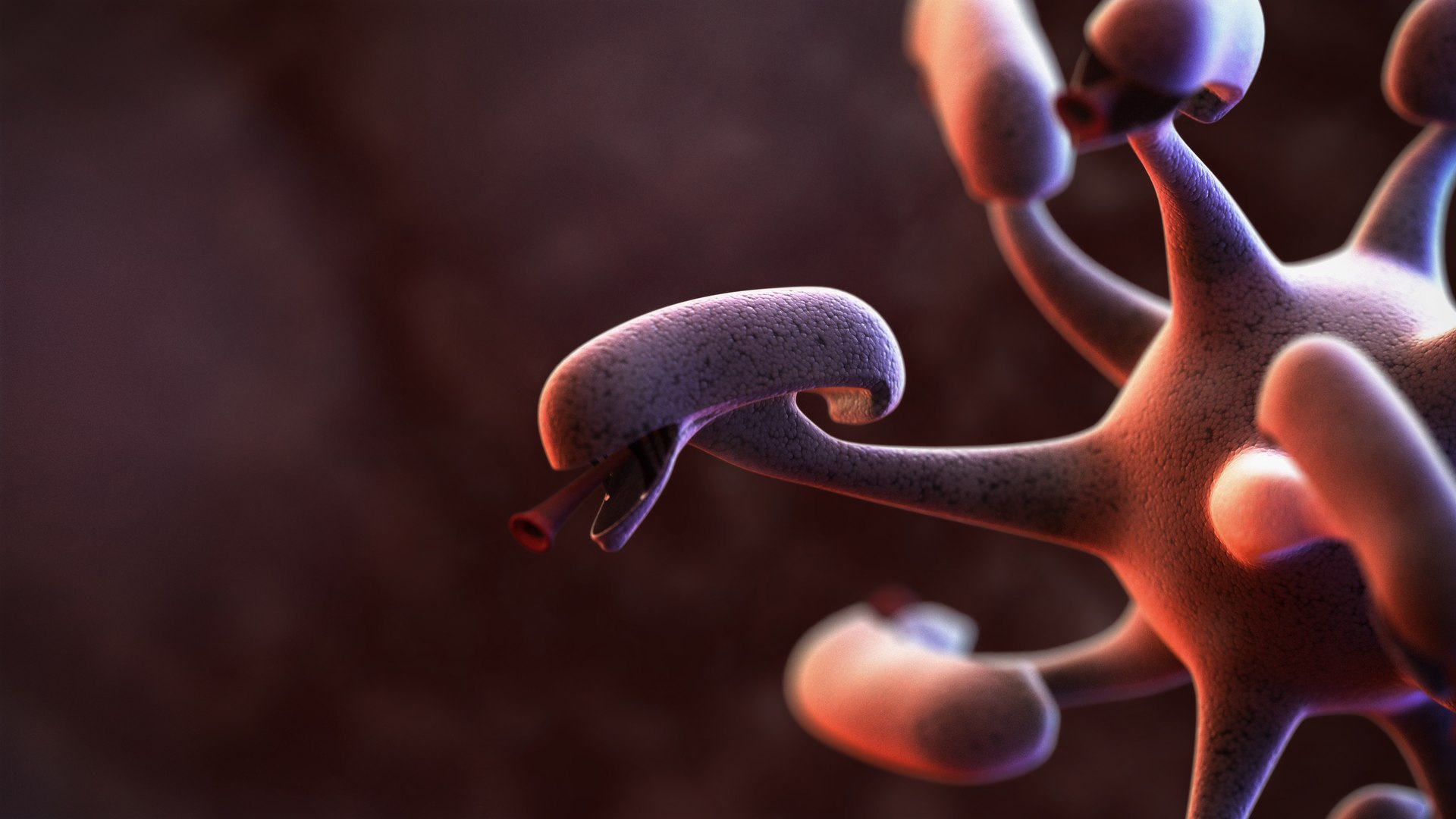 3D Alien Xenomorph Virus Model - TurboSquid 1552250