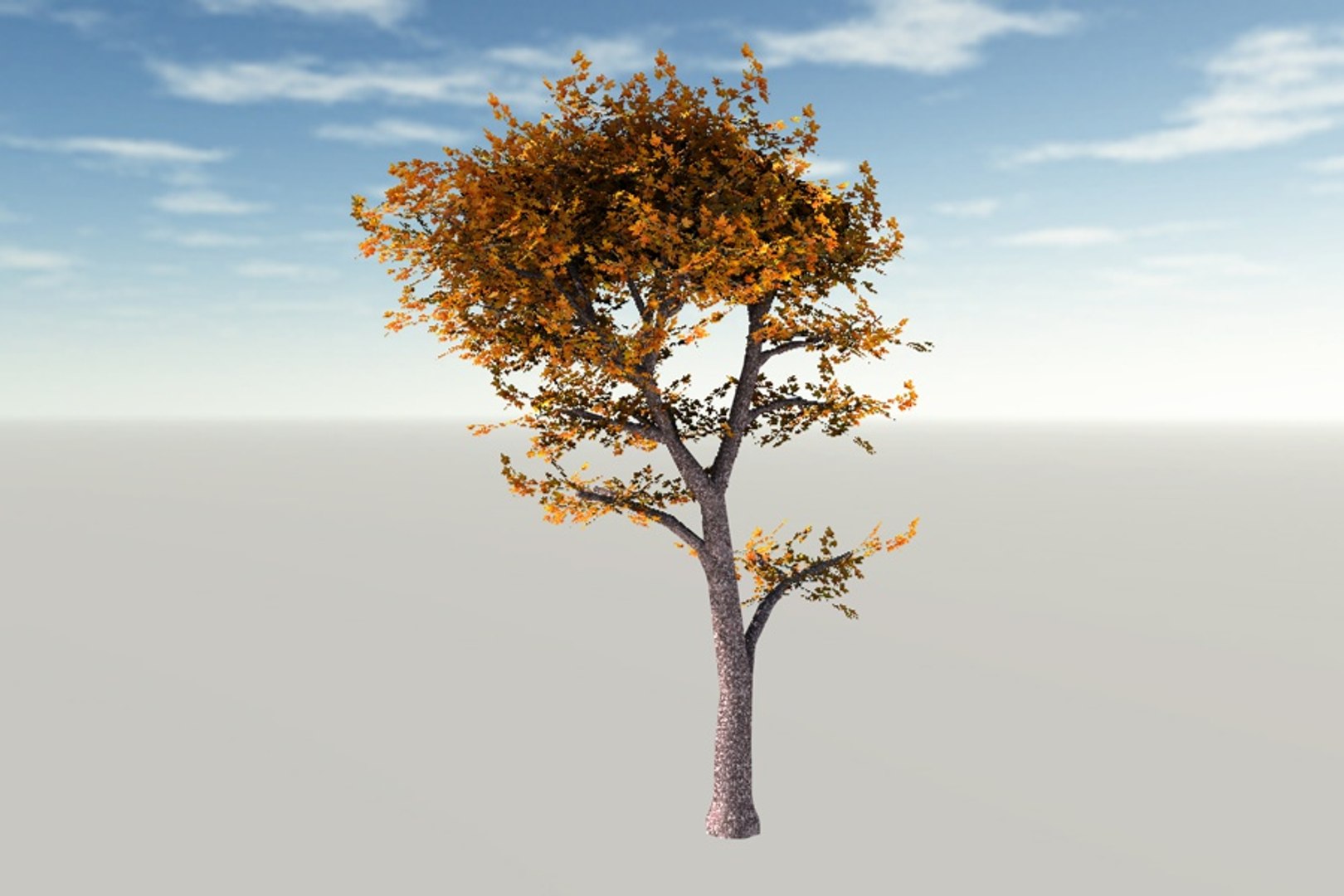 3d old tree model