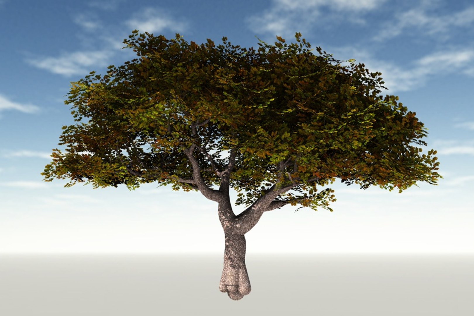 3d old tree model