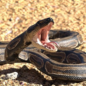 3D snake rig - TurboSquid 1273422