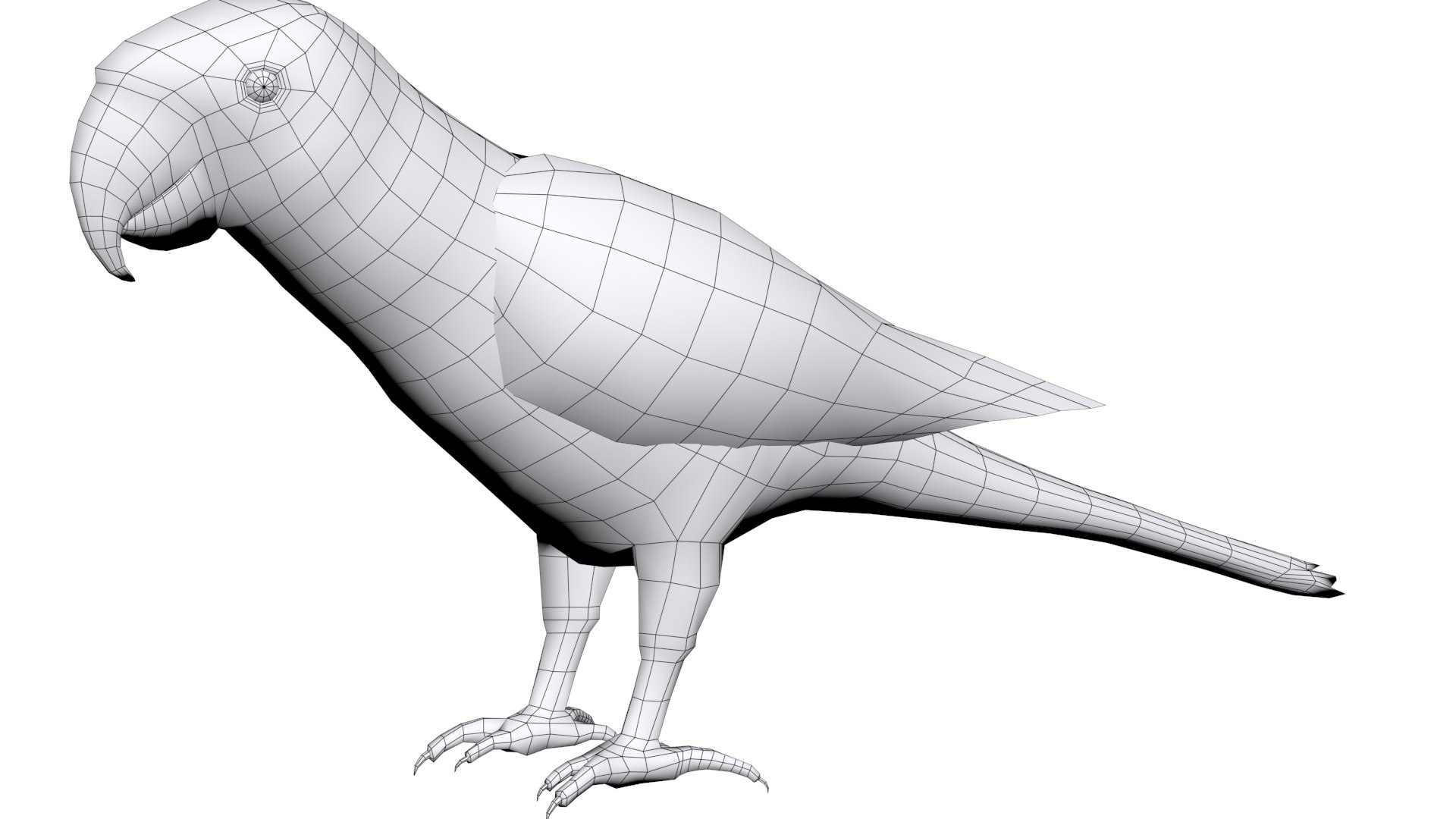 Parrot 3D Model - TurboSquid 1614396